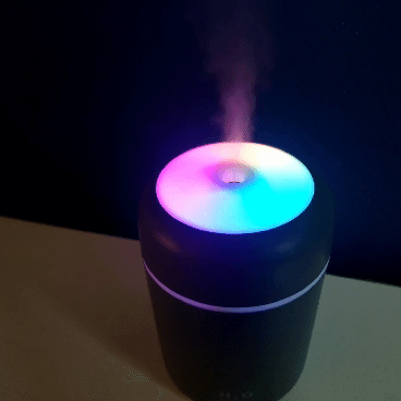 Humidifier Air Purifier
